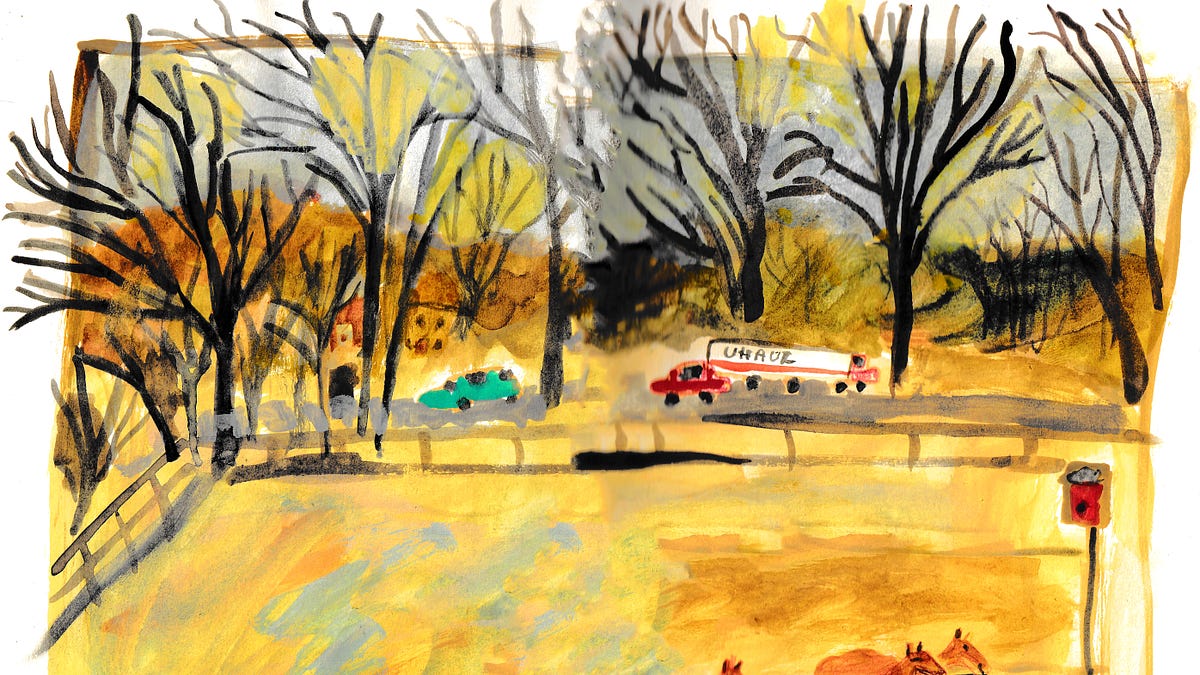 Drawing sessions to try this week - Introvert Drawing Club