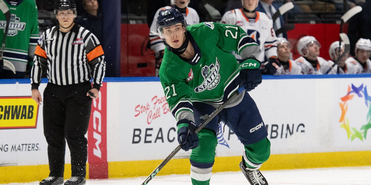 2025 NHL Draft Prospect Profile: Radim Mrtka