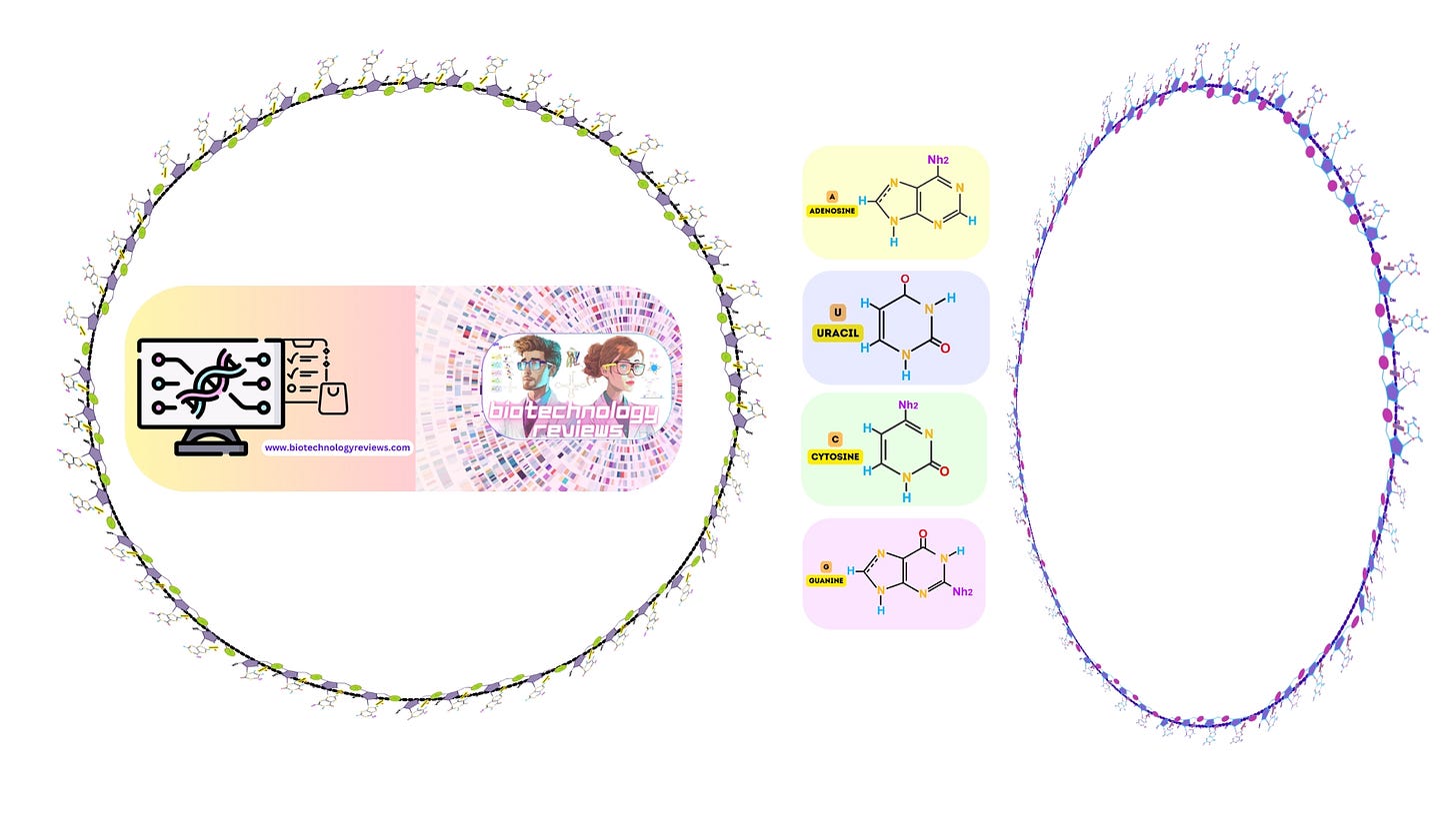 Circular RNA as a Drug Platform: Advantages Over Linear mRNA