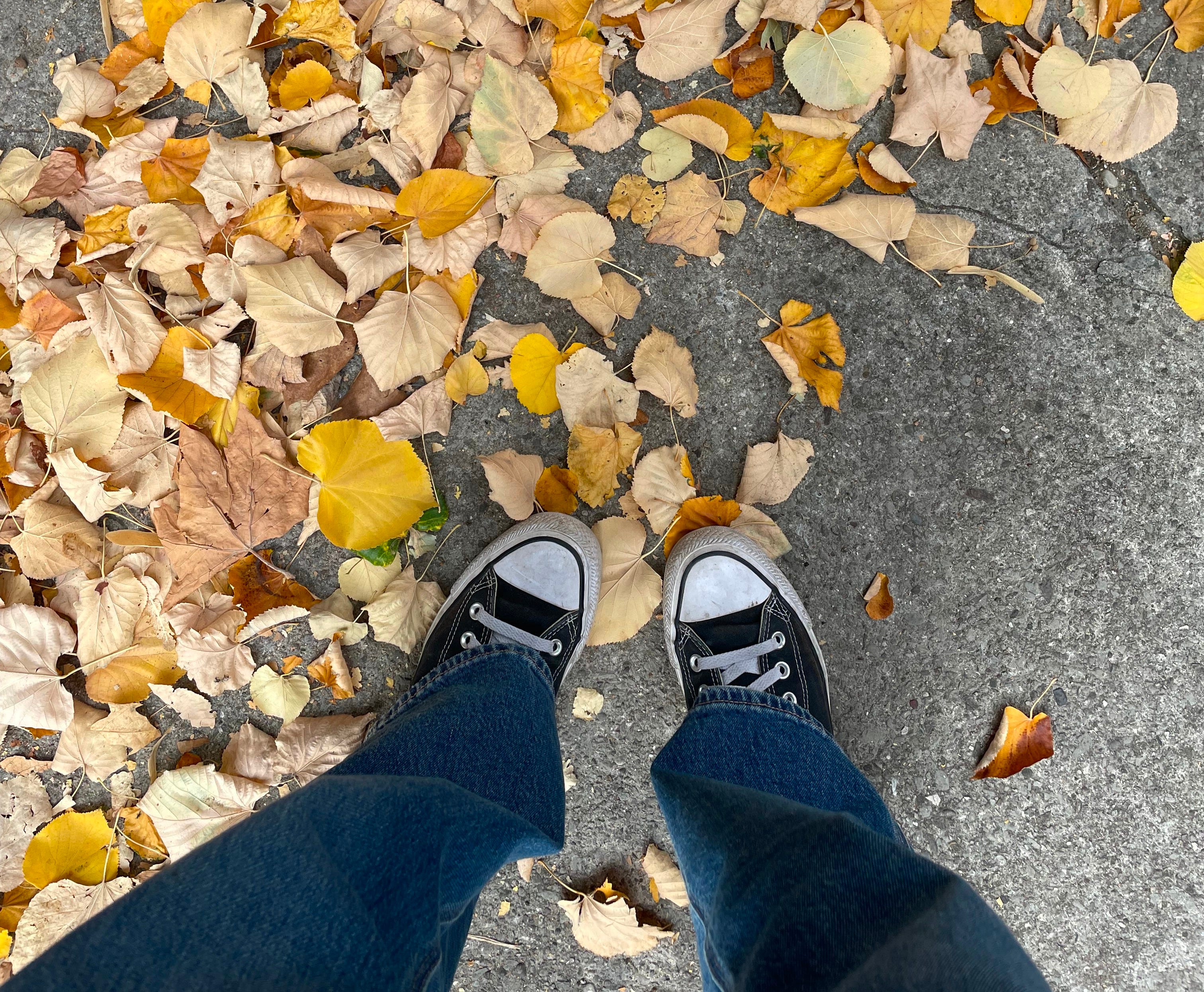 October Life in Mostar - by Autumn Valiquet
