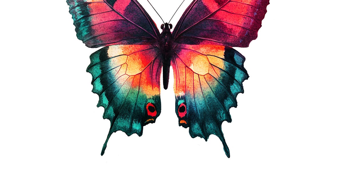 What is Circularity—and Why Should You Care?