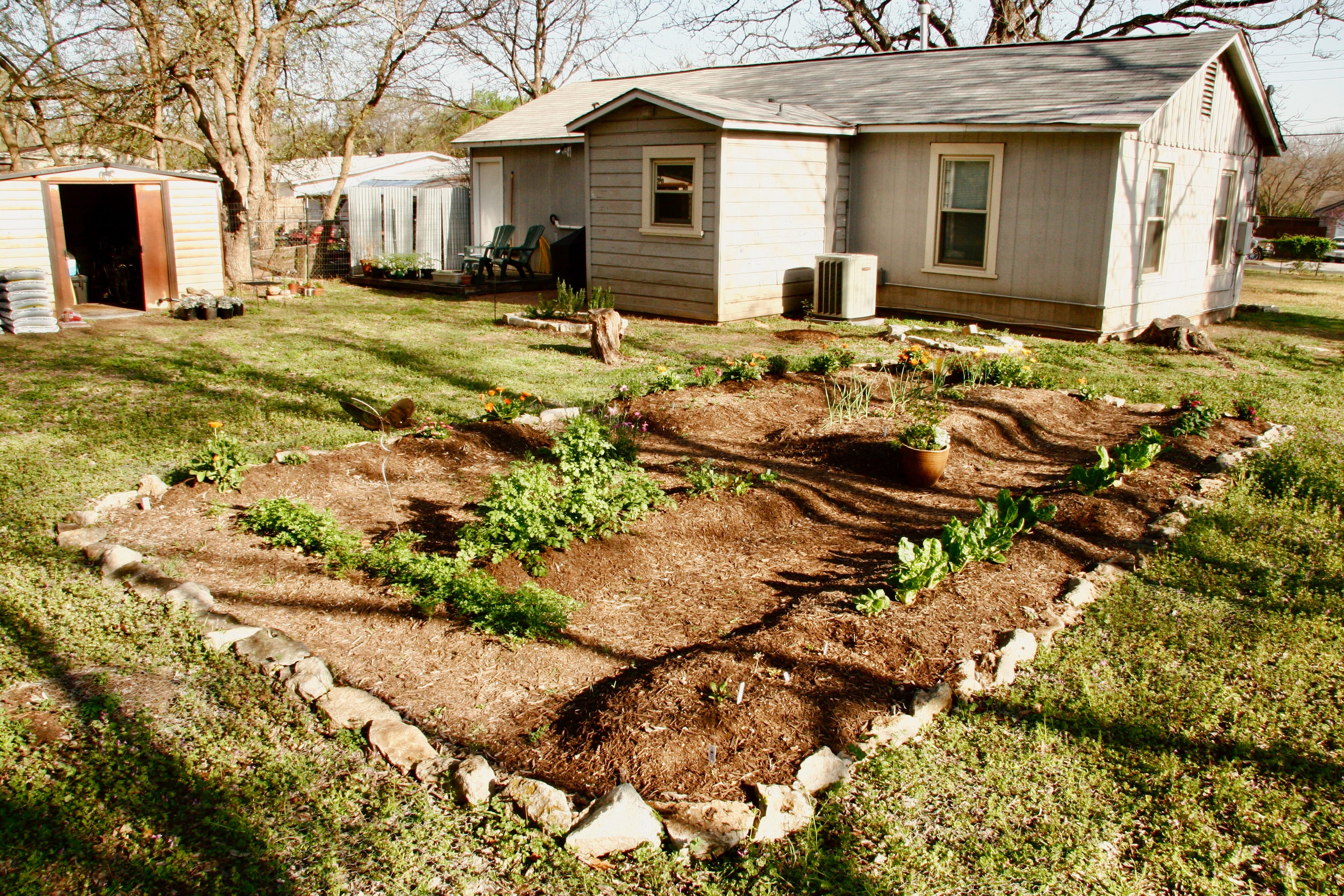 High Temperatures and Low Tunnels - by Scott Blackburn