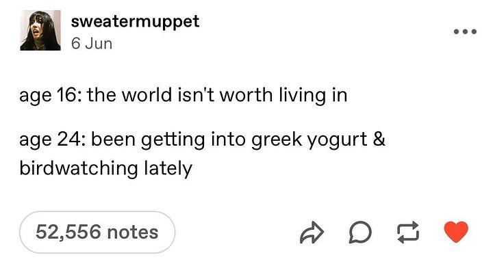 26 things that will make you regret less at the end of 2026 than you do now