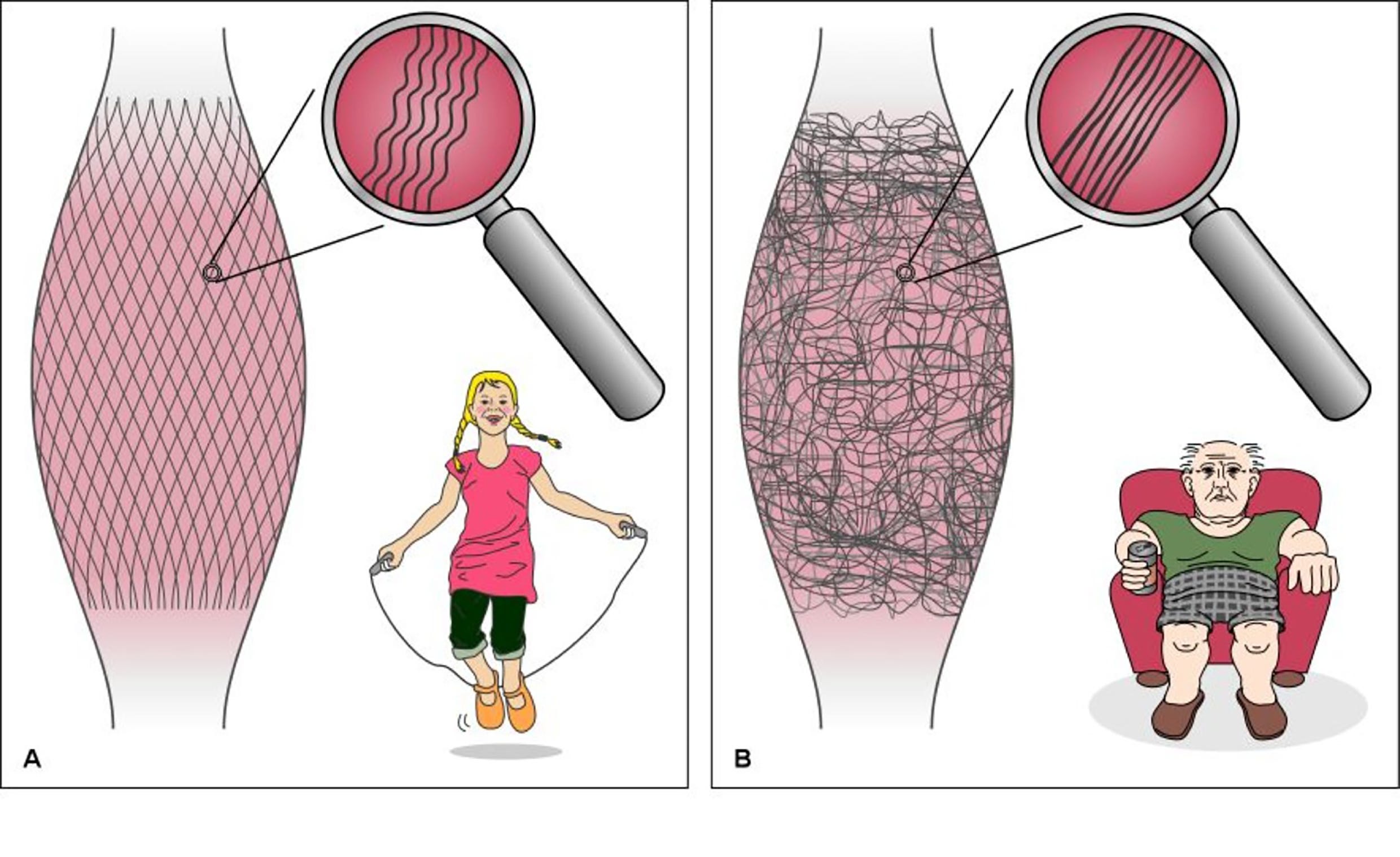 Wellness Things That Are Not BS: Fascia Release