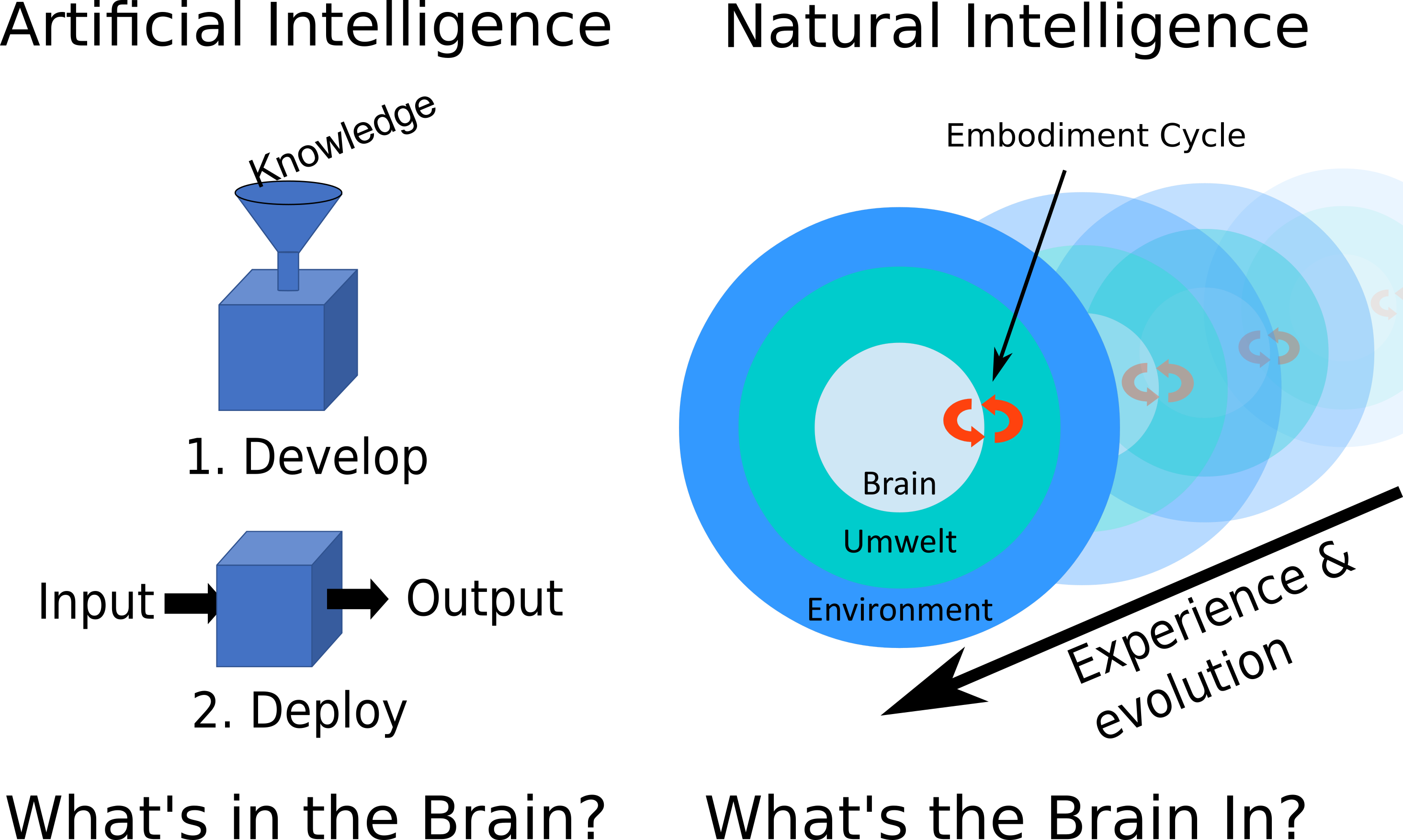 The Man Who Lost His Body - by Tom Rearick