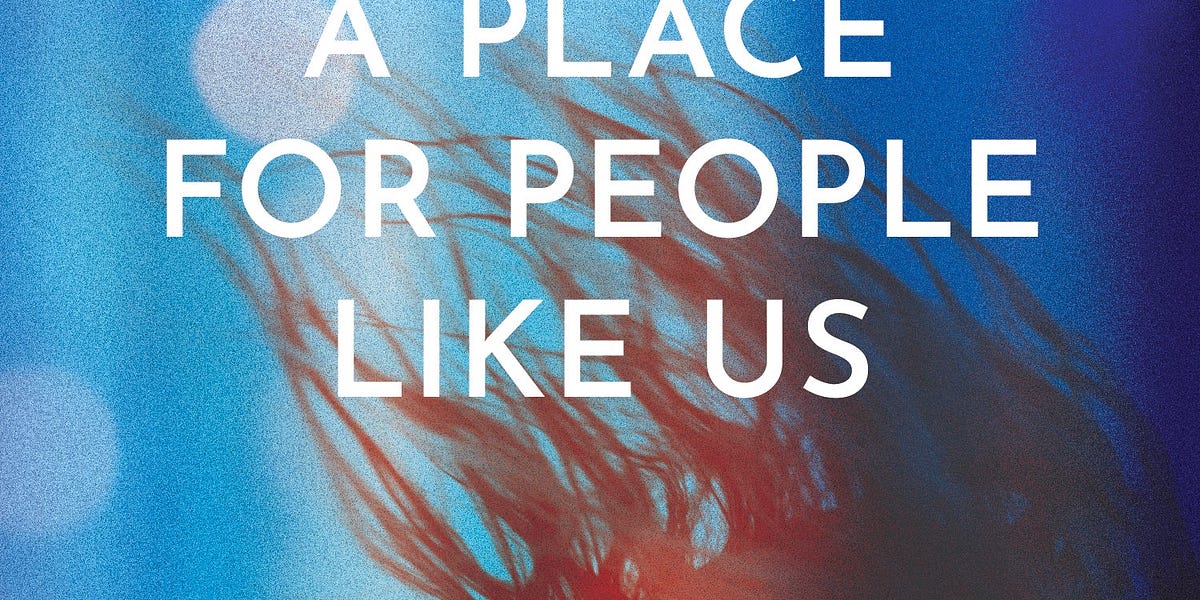 A Place For People Like Us by Danila Botha