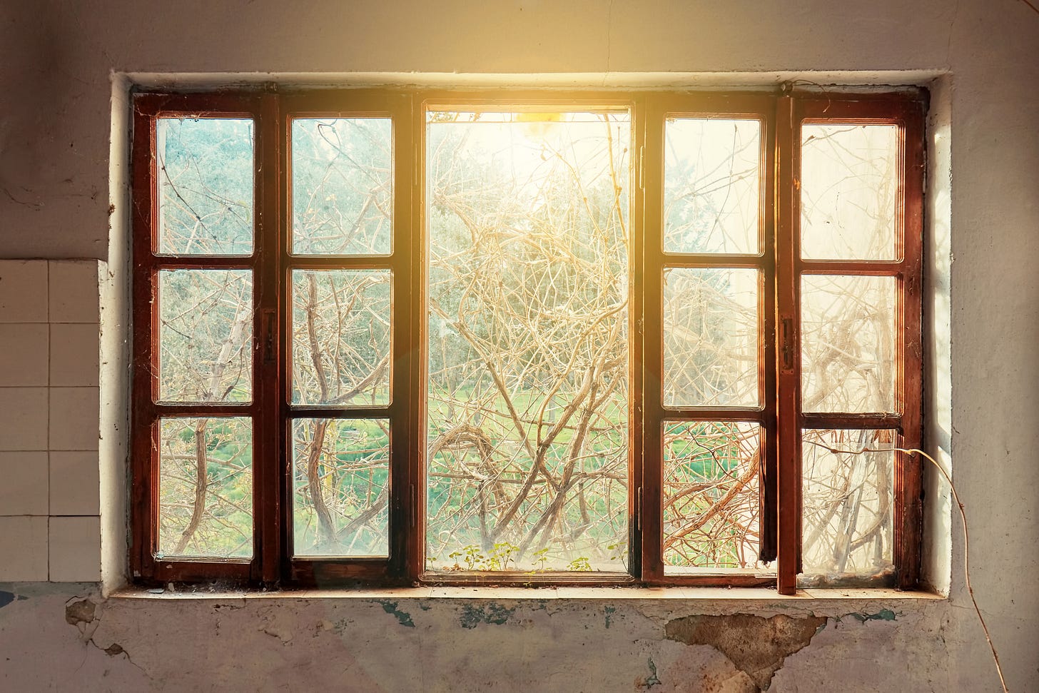 The Moment After “Publish” - Daniel Lieberman