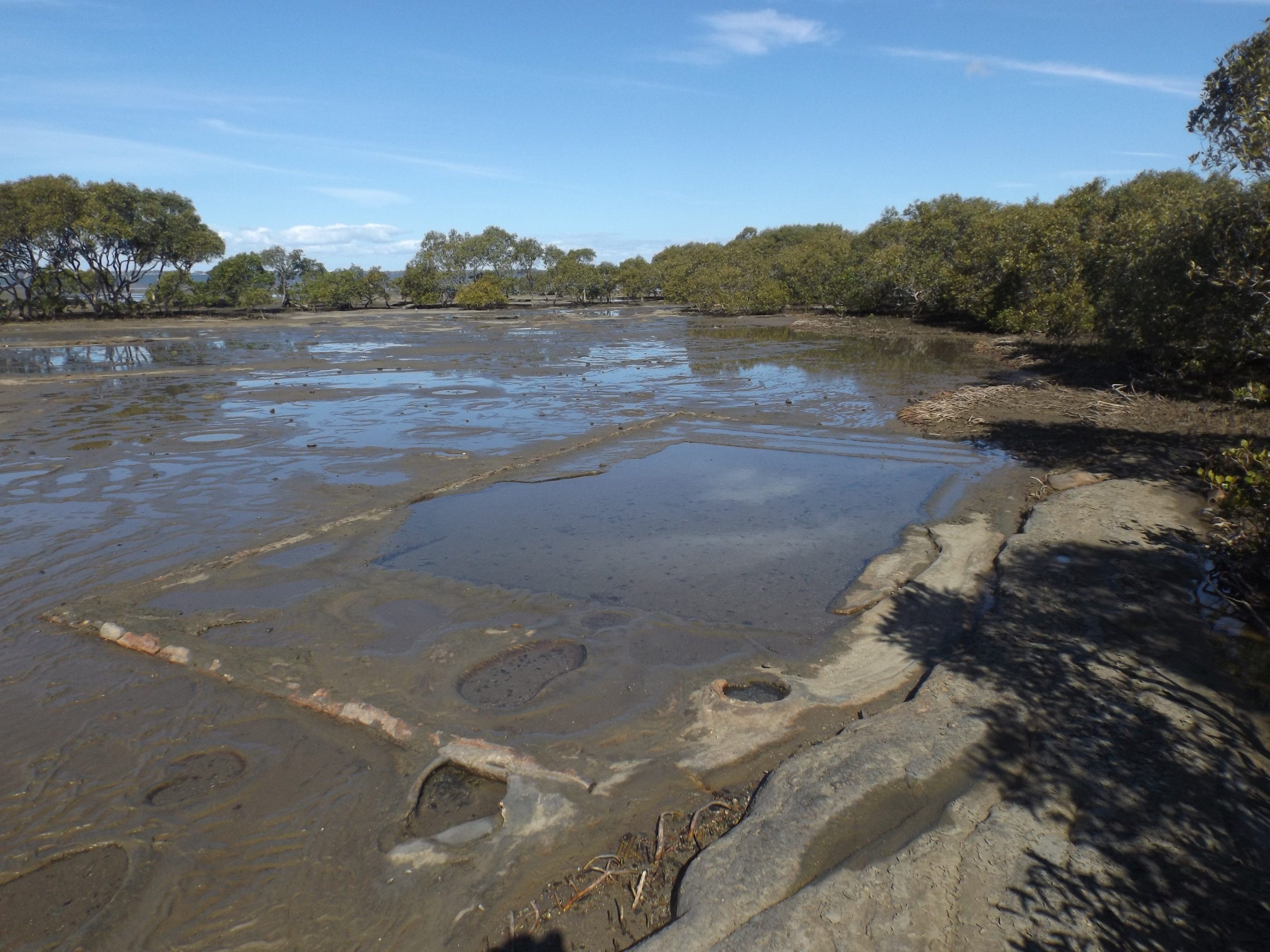 STOA Newsletter #204 - by Rick Furphy - The Shit List