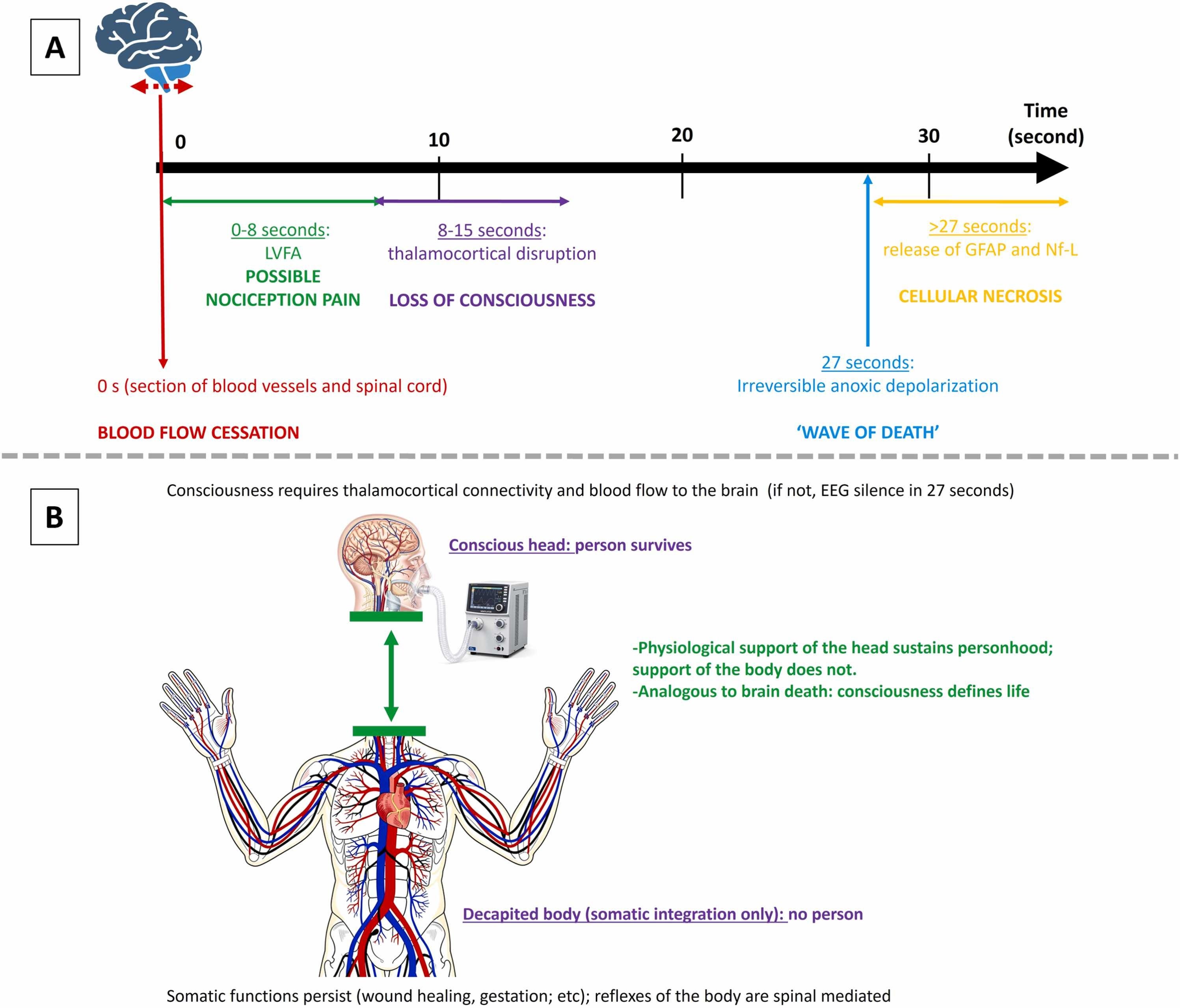 The Ideological Turing Test, Moral Double Standards, and Homosexuality ...