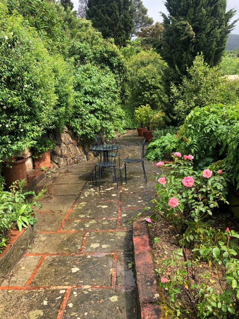 Fireflies and Nightingales in Tuscany - by Pia Whitmartlet