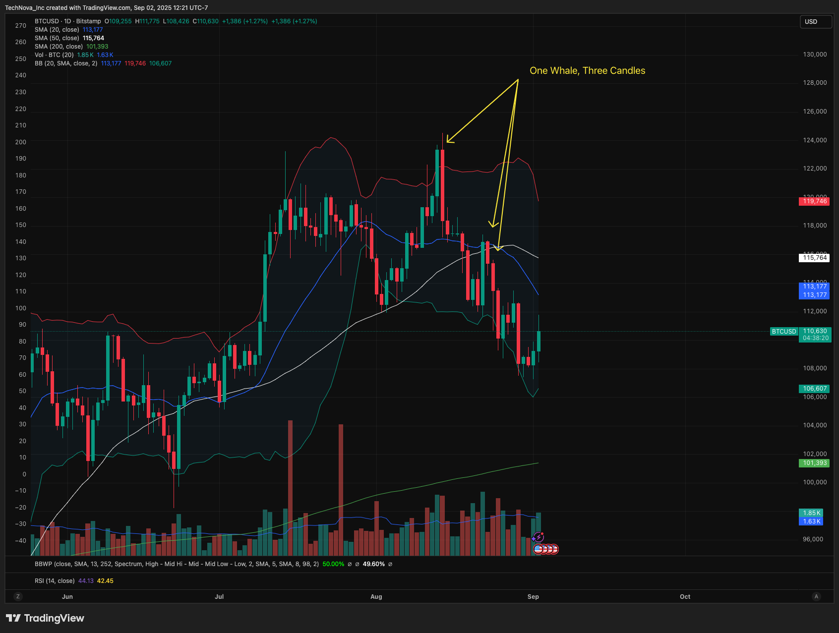 The Anatomy of a Crypto Bear RAID! - by TechNova