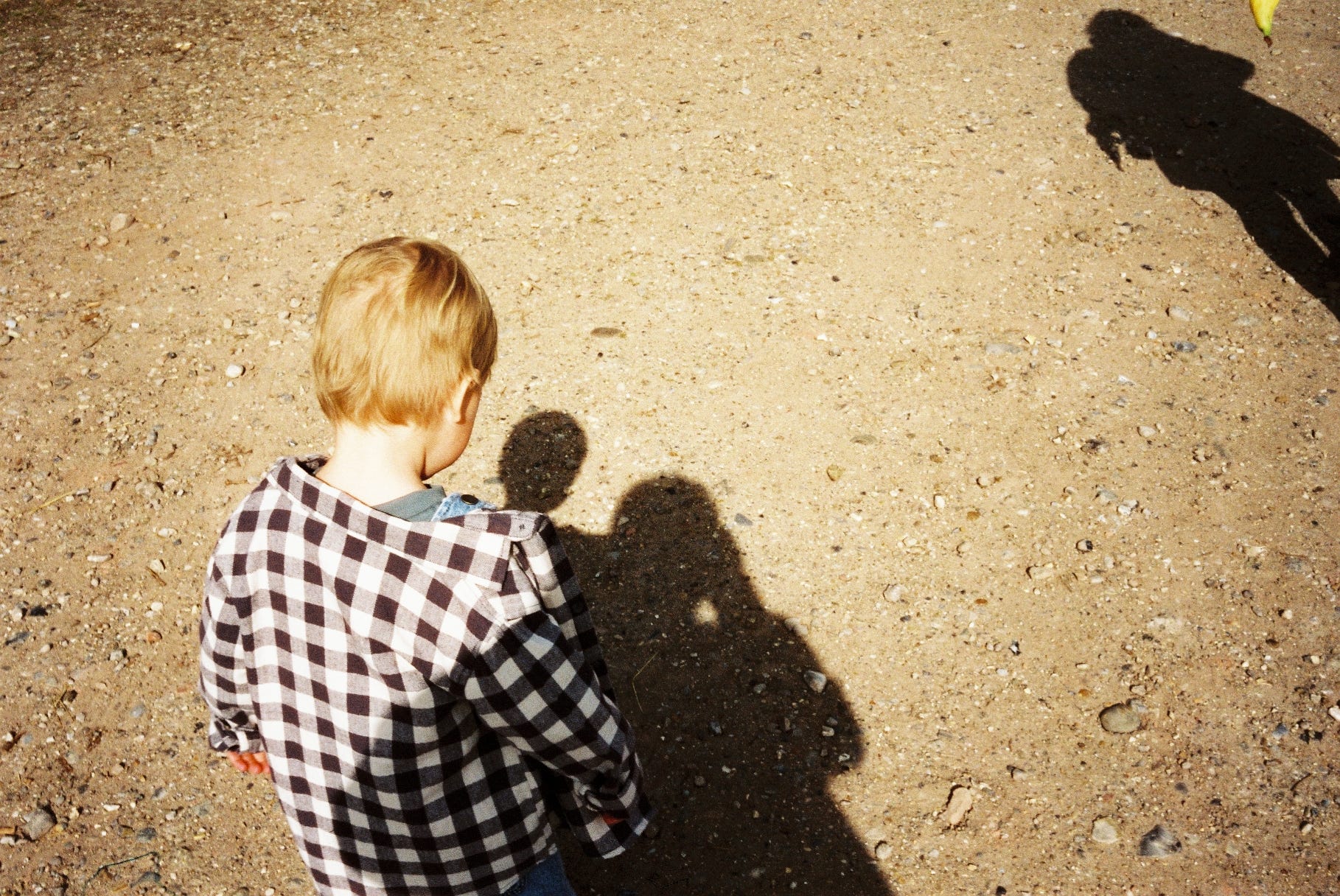 Absurdity in photography - by Paul Hallett