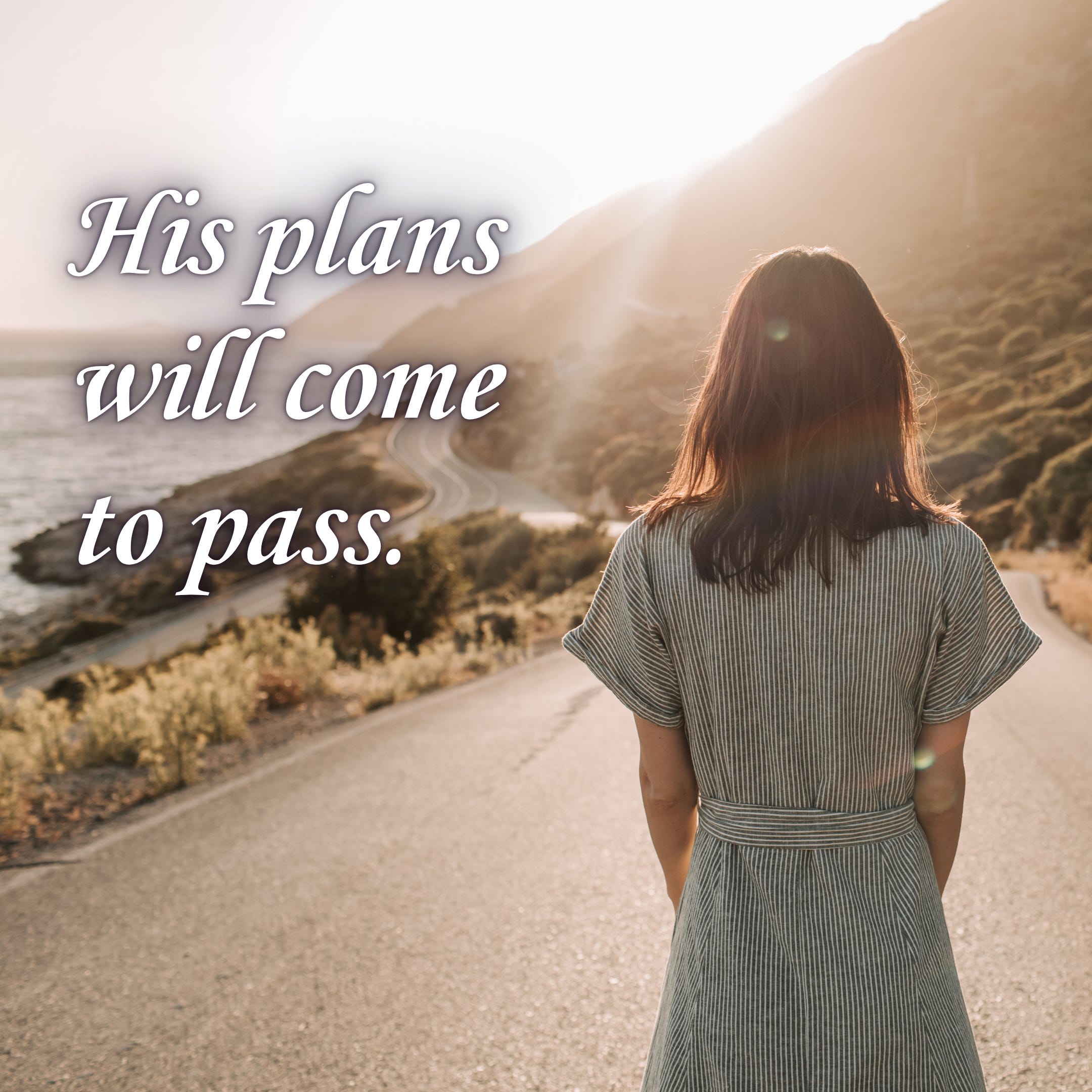 Prayer for God's Plan 400 - Daily Devotional For Women