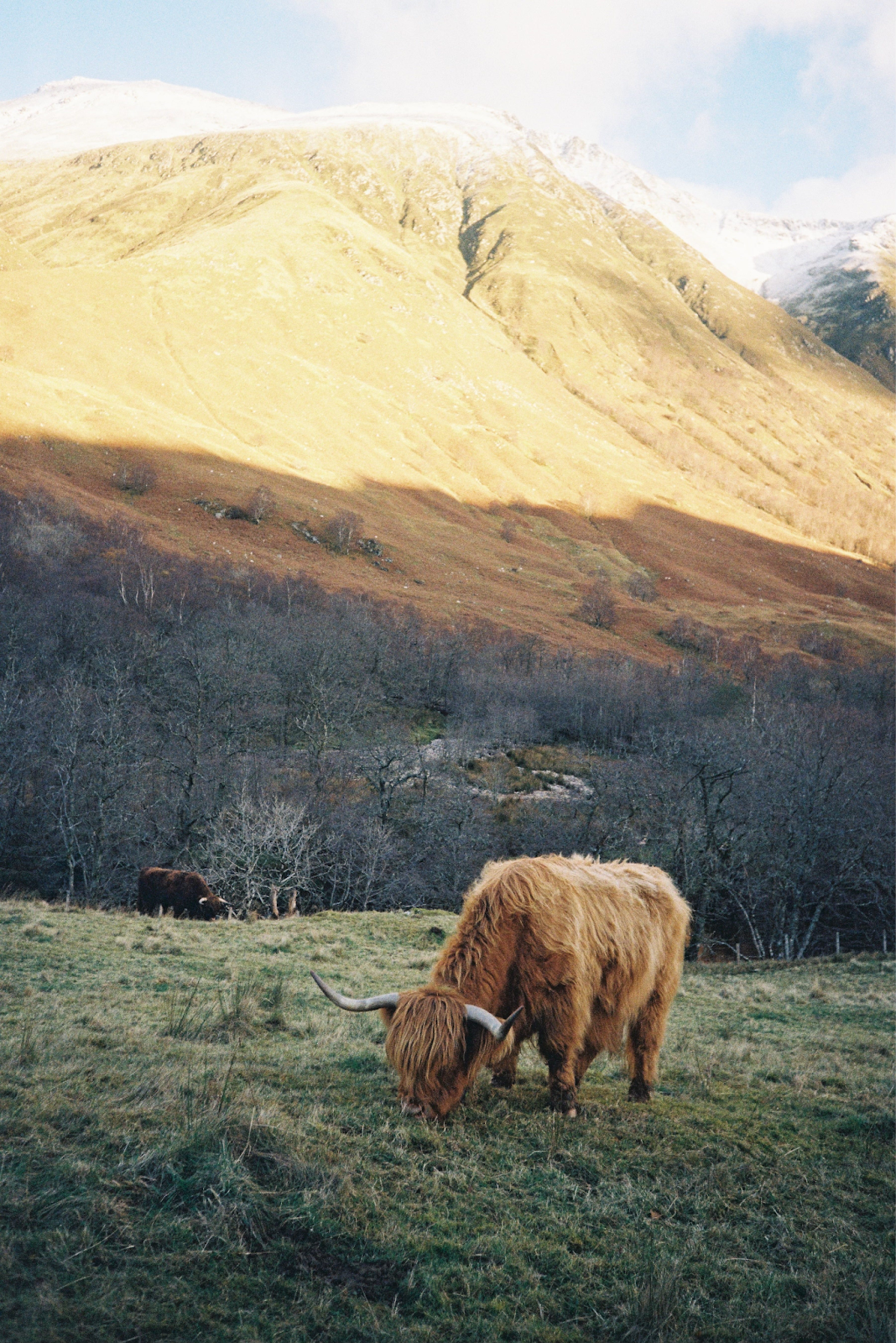 “In these spaces, stories emerge, are shared, and are iterated upon”