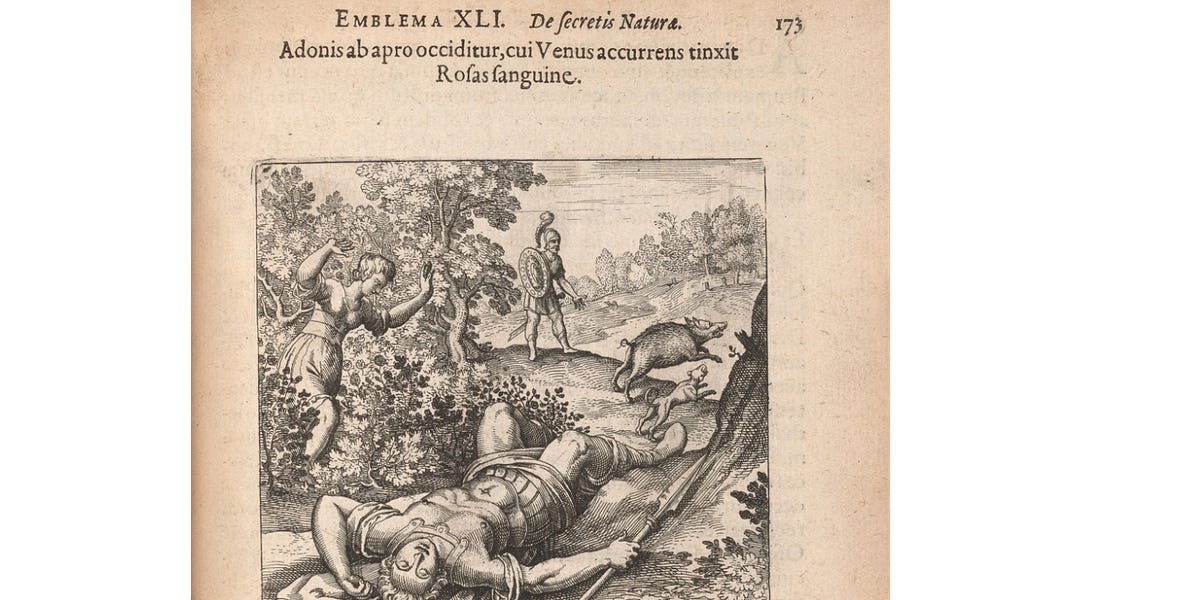 venus and adonis annotated