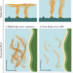 Science of Surfing | Kevin Okun | Substack