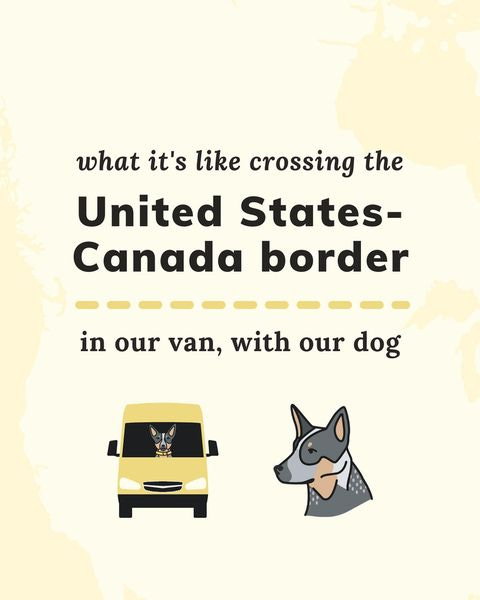 dog border crossing