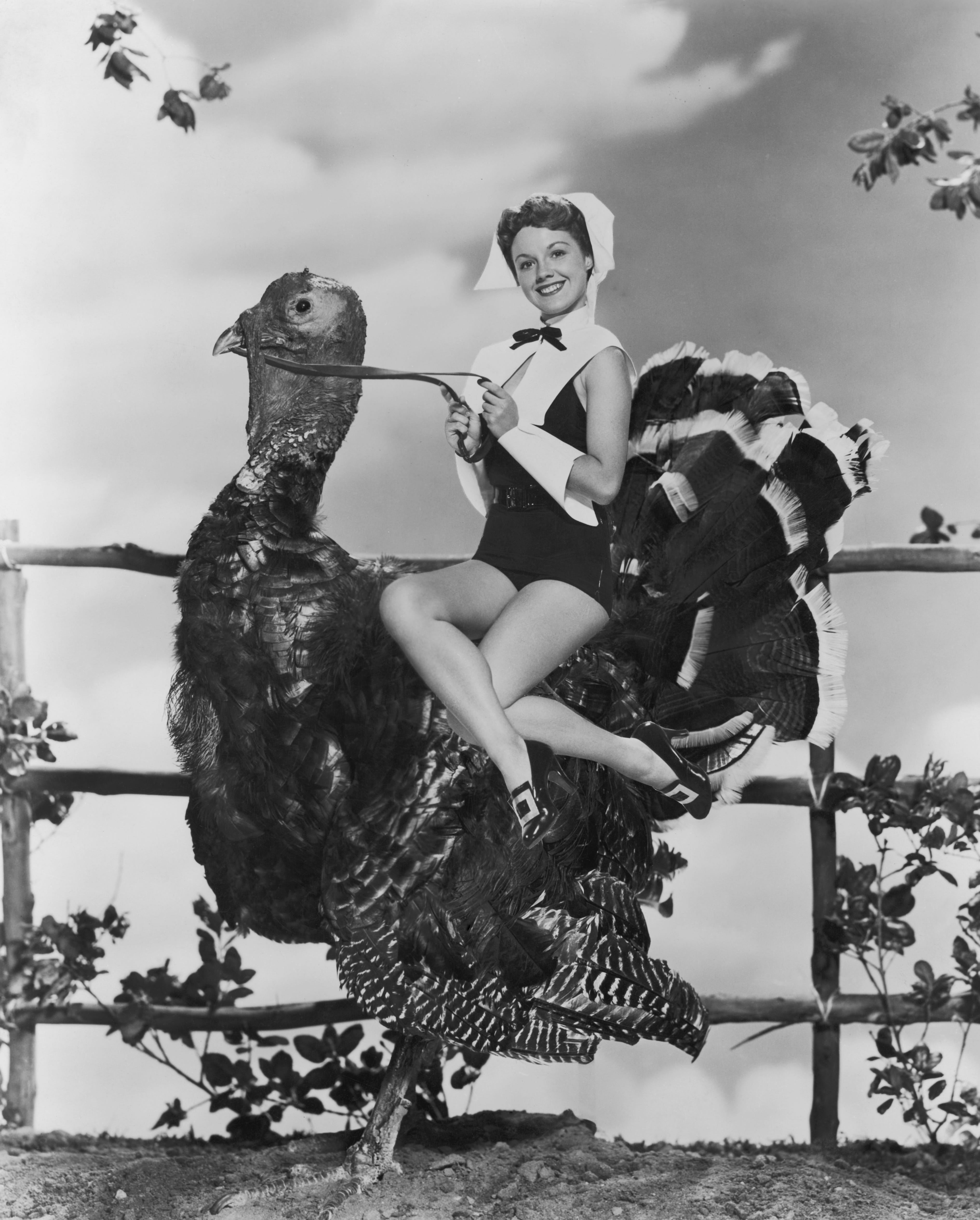 Turkey Glamour Shots!