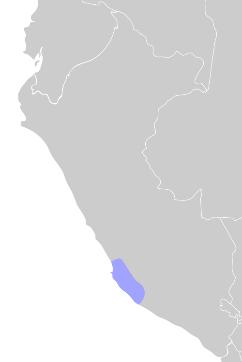 Desert of the Dead: How the Paracas Wove Immortality