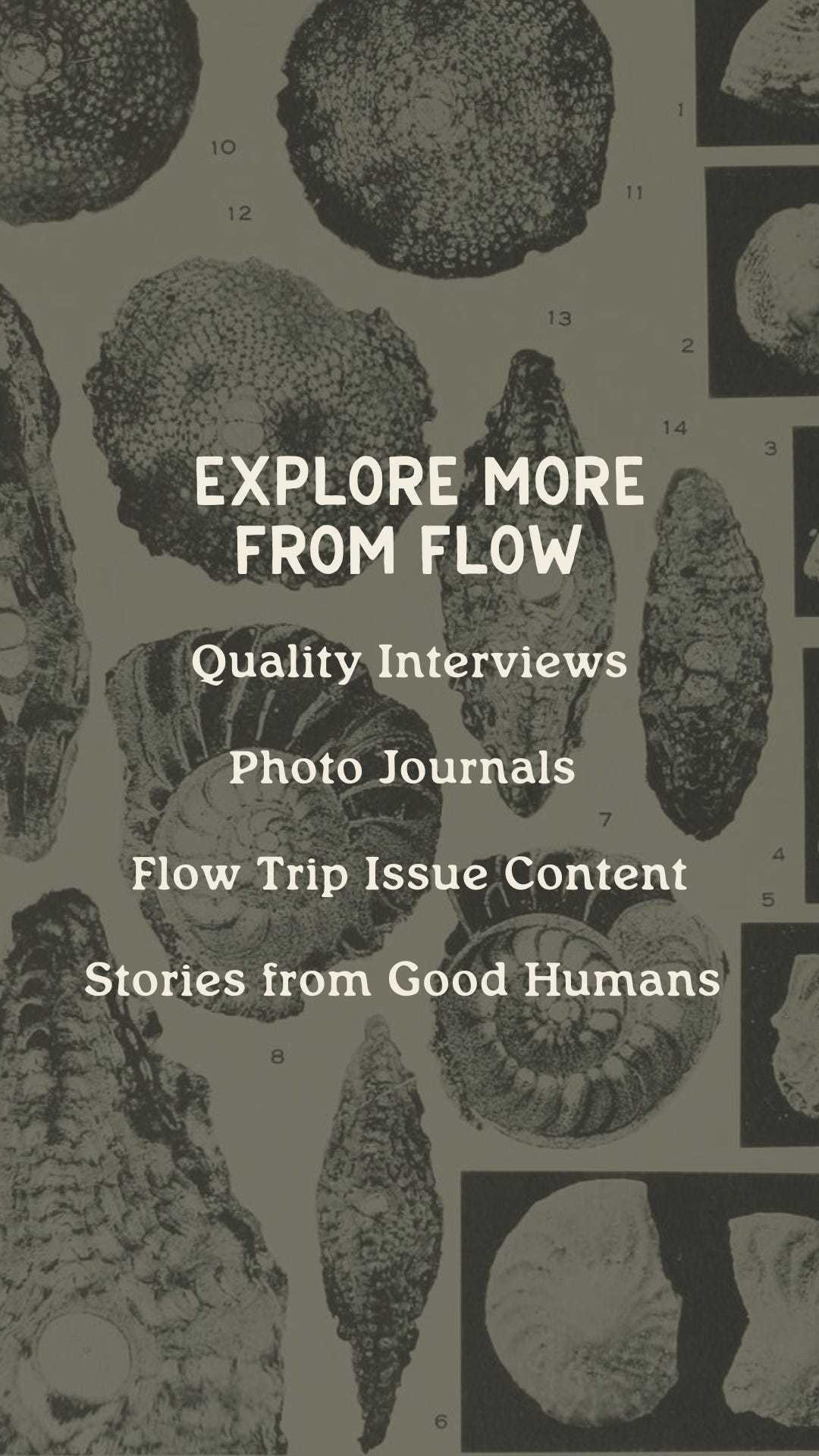 The Flow Trip (@theflowtrip): "Something good, something new. A one ...