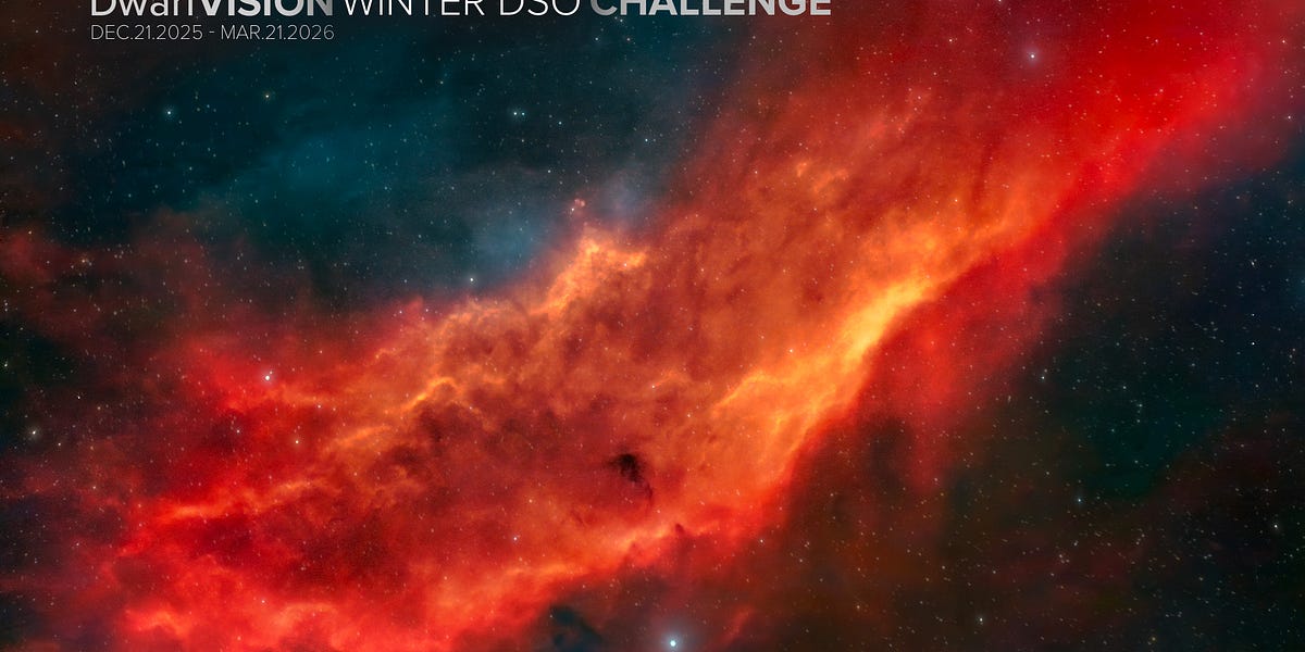 Winter Challenge: The First Sweep & The Wildcards Reveal!