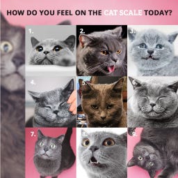 Saying Goodbye to 2025 - by Dr Christine DiBlasio