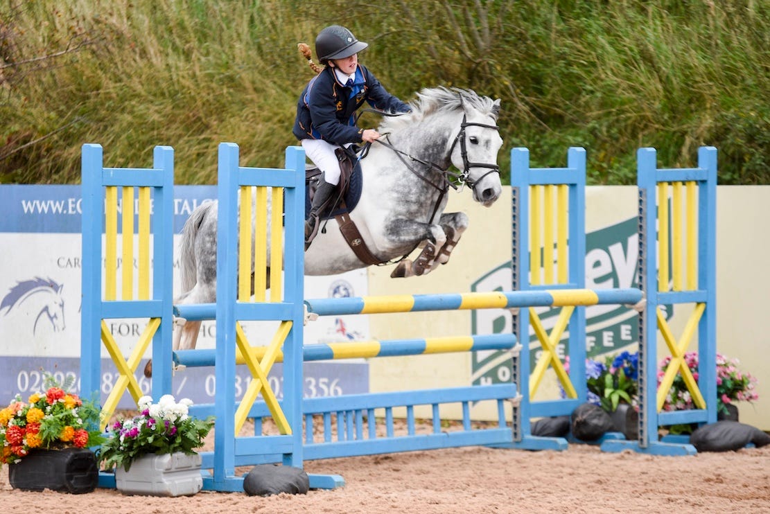 Inter-schools' action at The Meadows - Horse&Field