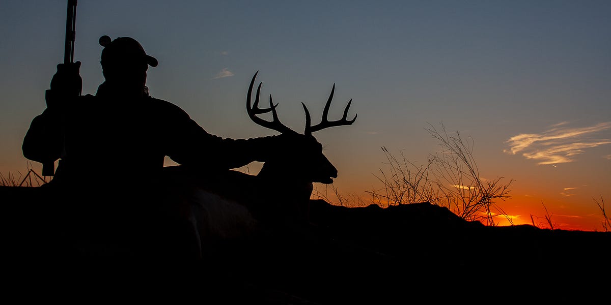 sunset hunting