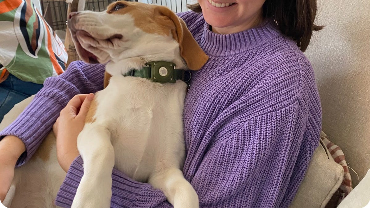 I’m on trial for rescuing beagle puppies; they’re calling it burglary.