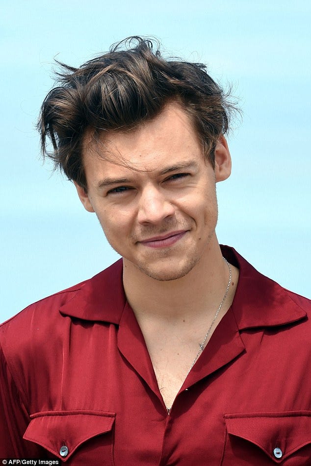 Harry Styles Turns 30 - Learn All His Fandom Nicknames