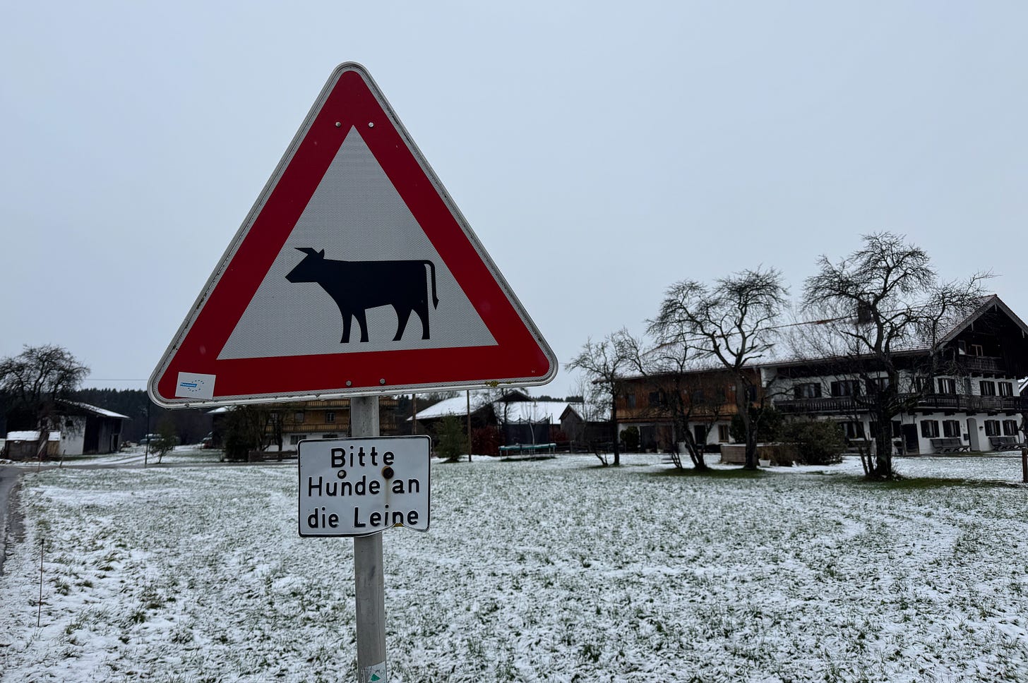 The Nazi Cult and the German Speech Police – USSA News | The Tea Party ...