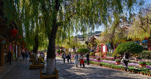 Proceed to the Route | Frances Mayes | Substack