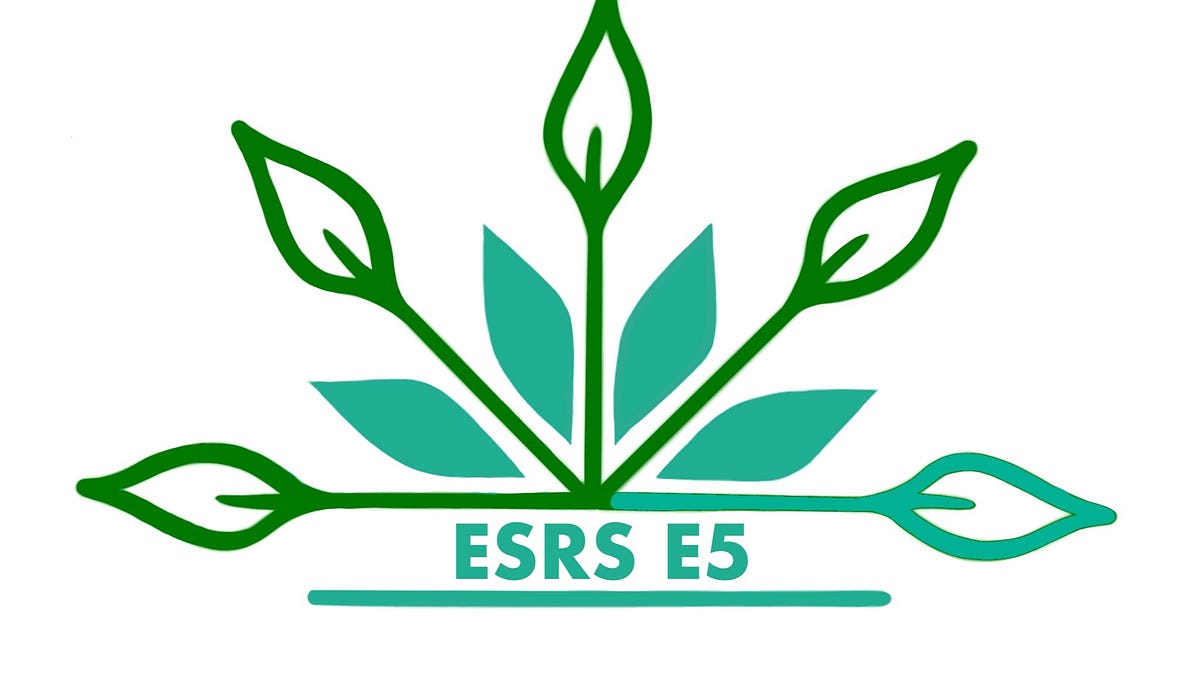ESRS E5: Resource Inflows & Outflows - by Lars Wullink