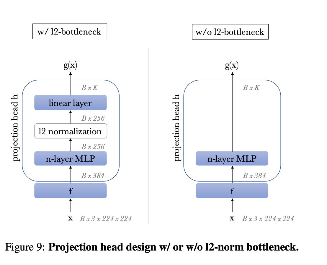 DINO Explained: How Self-Supervised Learning Unlocked Vision Transformers