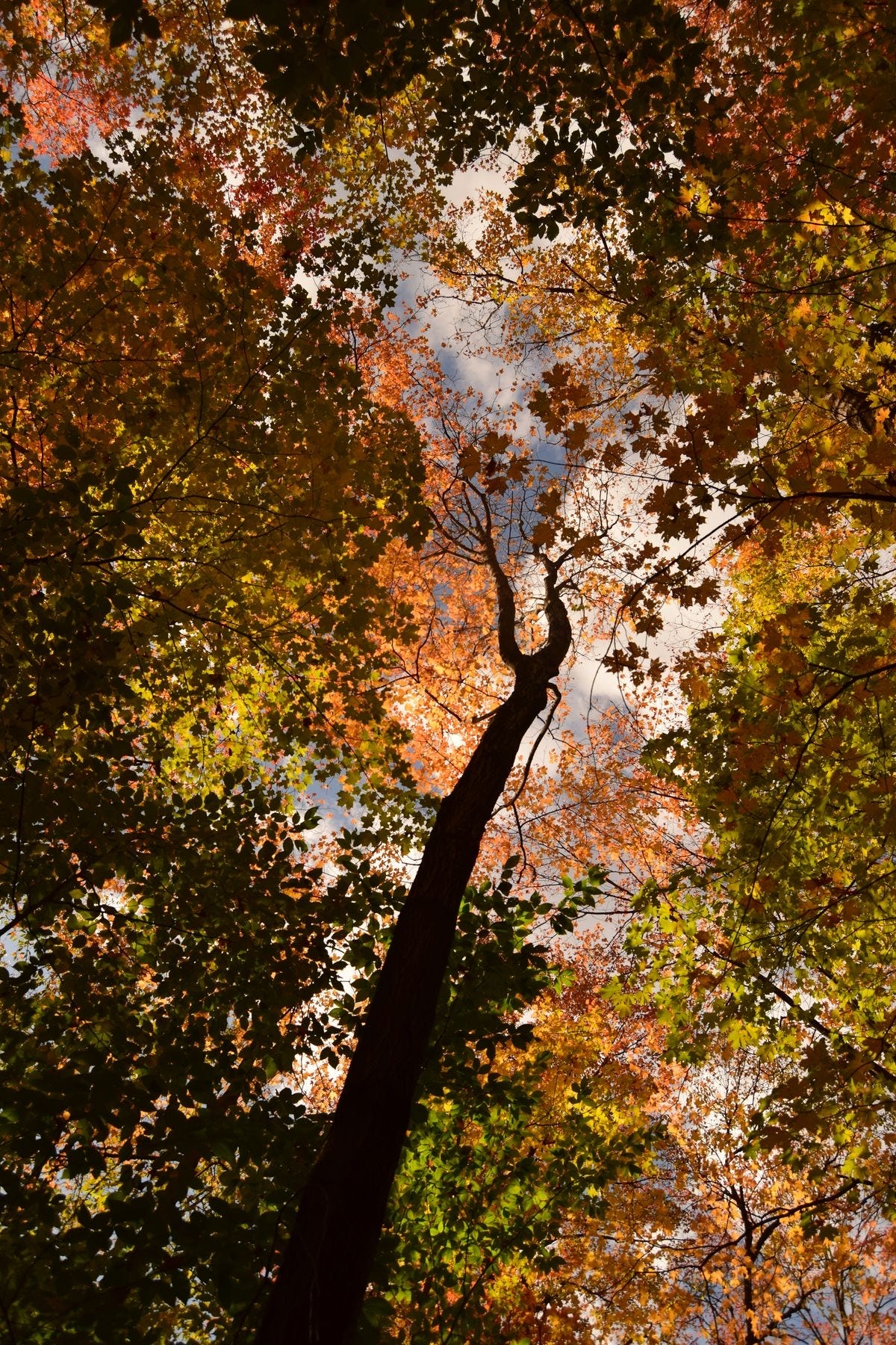 MeidasTouch Network (@meidastouch): "Folks: it’s TRUE! The MeidasTouch Network is now officially ...