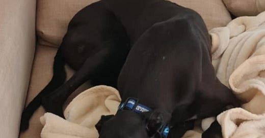 Hidden Japan | Leon | Substack