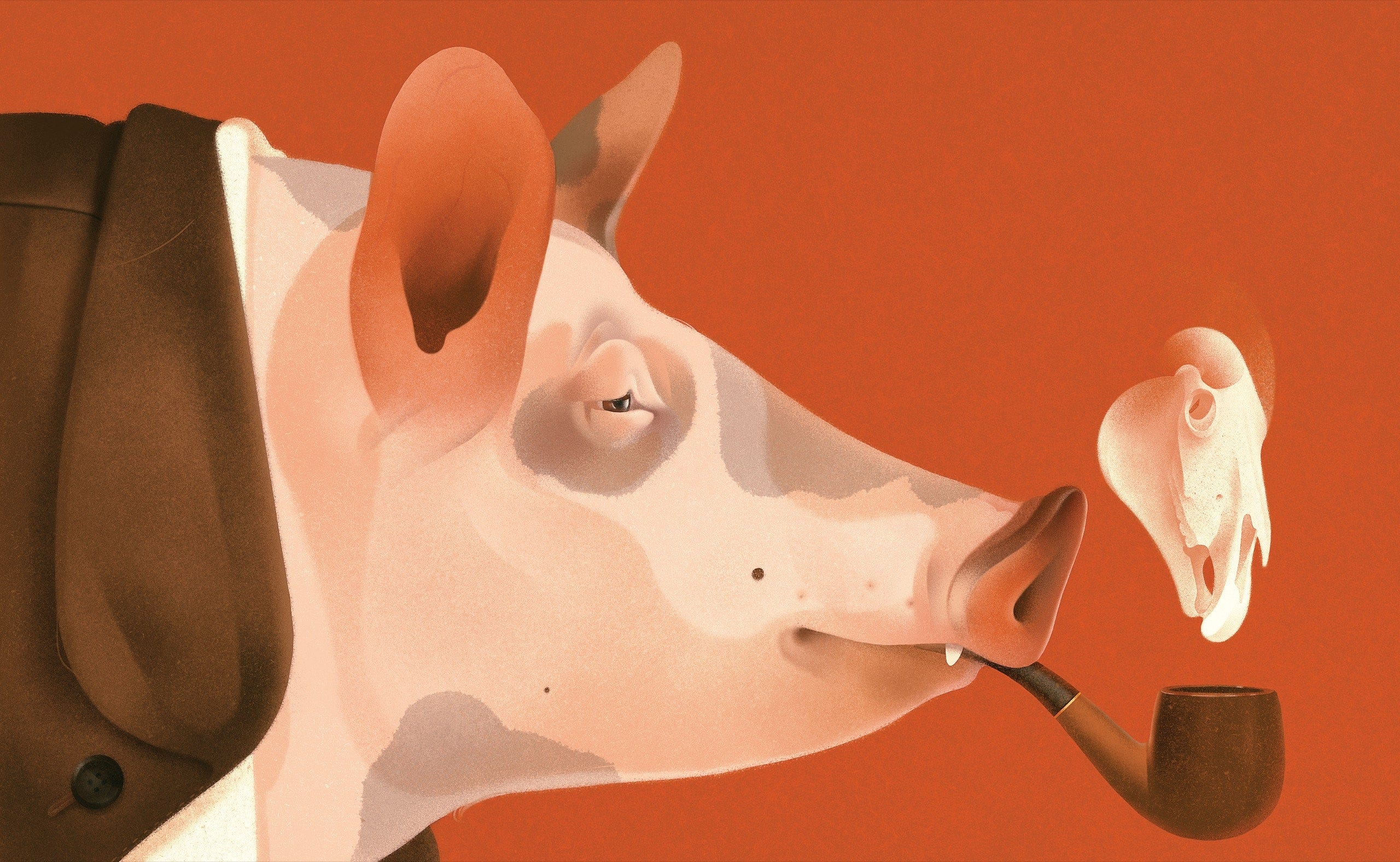 Pigs, Politics, and Pollution: The unsettled question of pig farming in ...