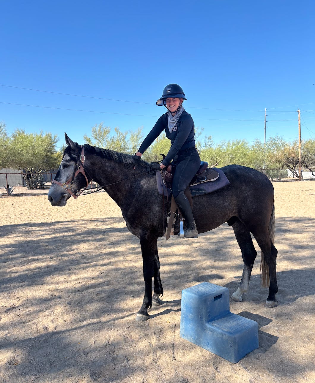 English vs. Western Riding: What’s the Difference?