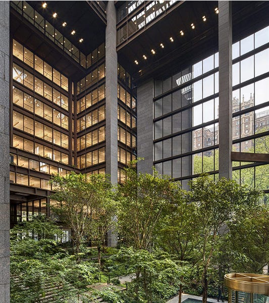 The Foundation of American Folly - by N.S. Lyons