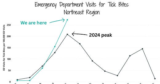 Your Local Epidemiologist — New York | Katelyn Jetelina | Substack