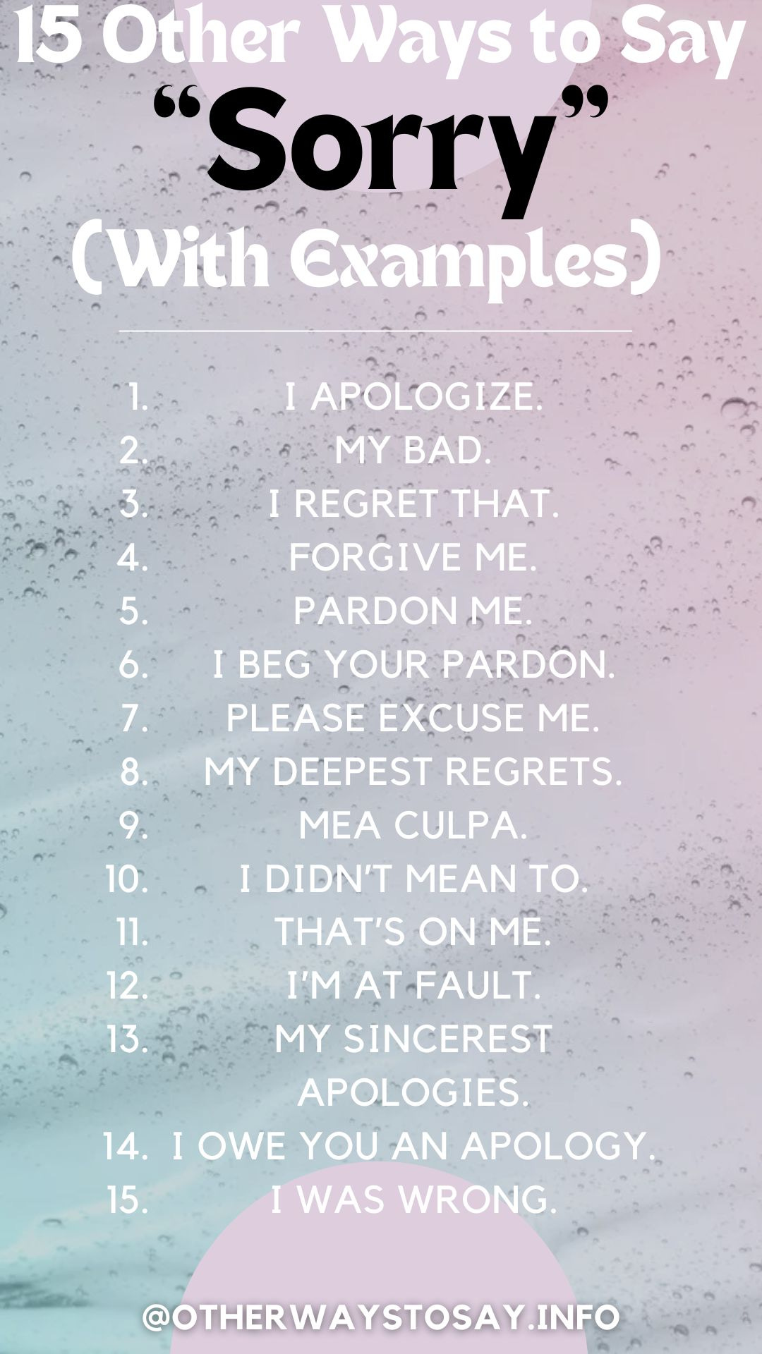 15 Other Ways to Say “Sorry” (With Examples)