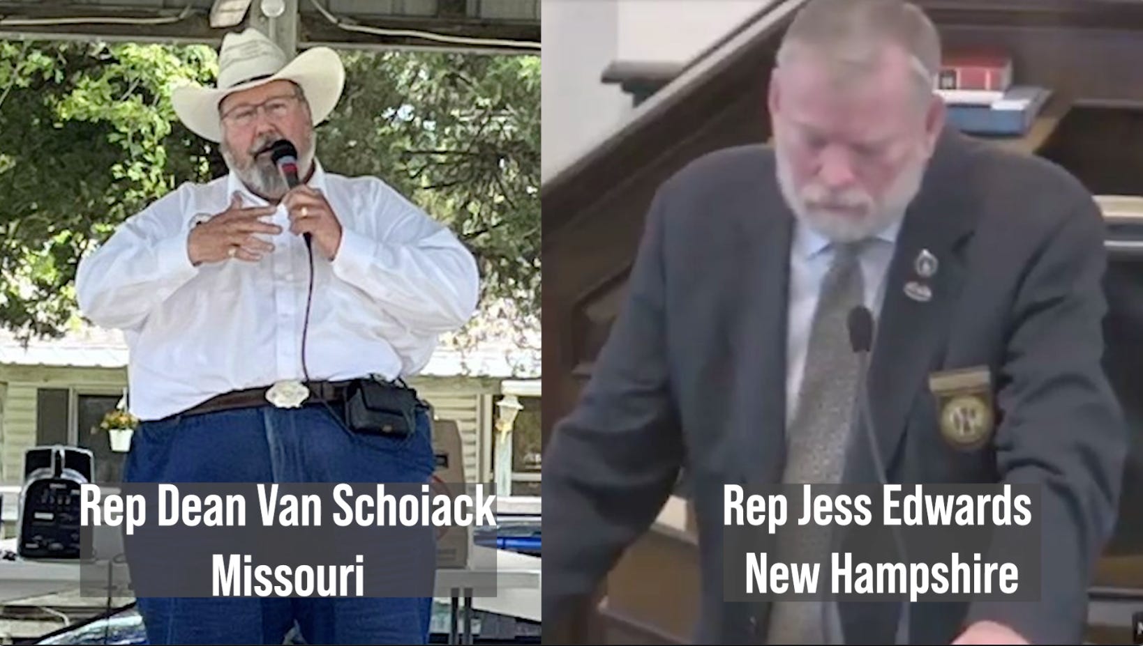 Did a Republican Rep call 12 Year-olds "Ripe and Fertile?