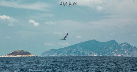 Afrikya Stories | Khalil Gdoura | Substack