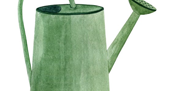 House of Green | Alexandra Fasulo | Substack