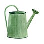 House of Green | Alexandra Fasulo | Substack