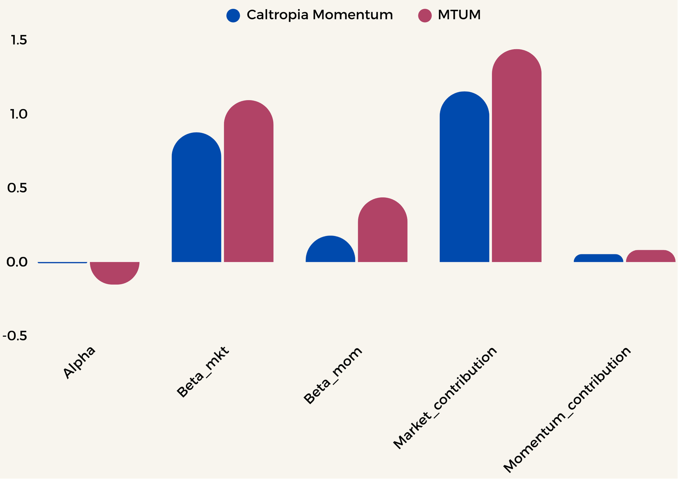 A Different Approach to the Momentum Factor