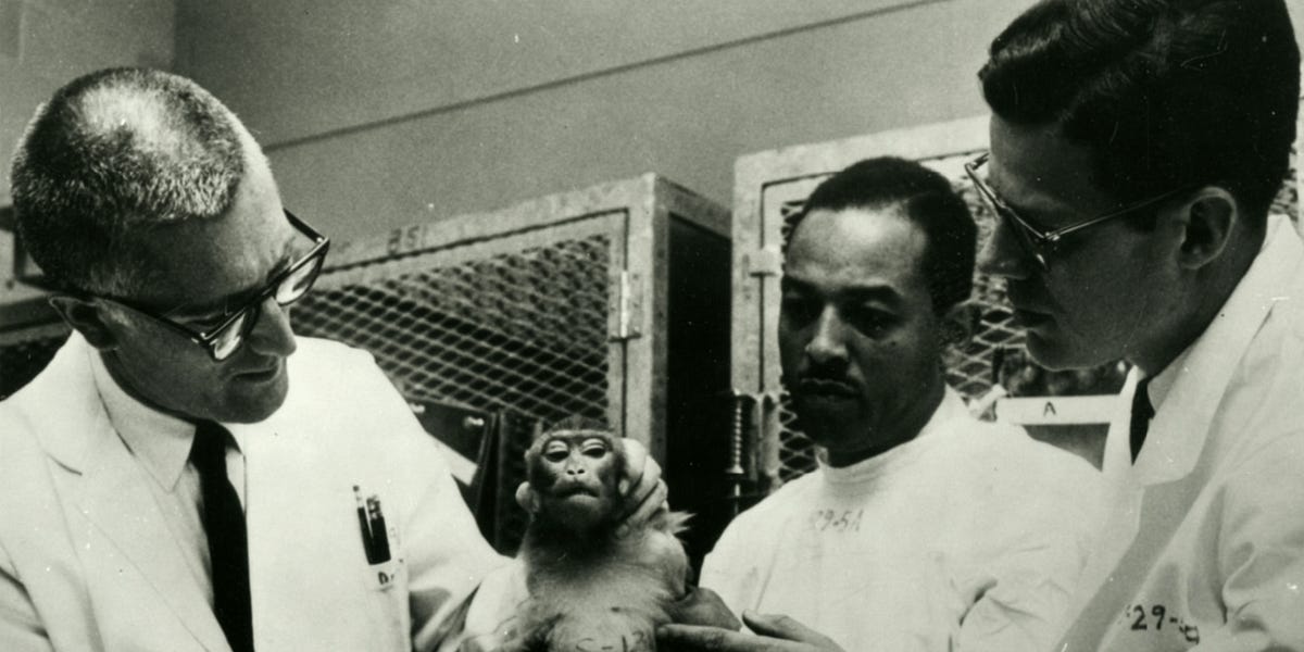 Escaped Research Monkeys and Imagined Infectious Risks