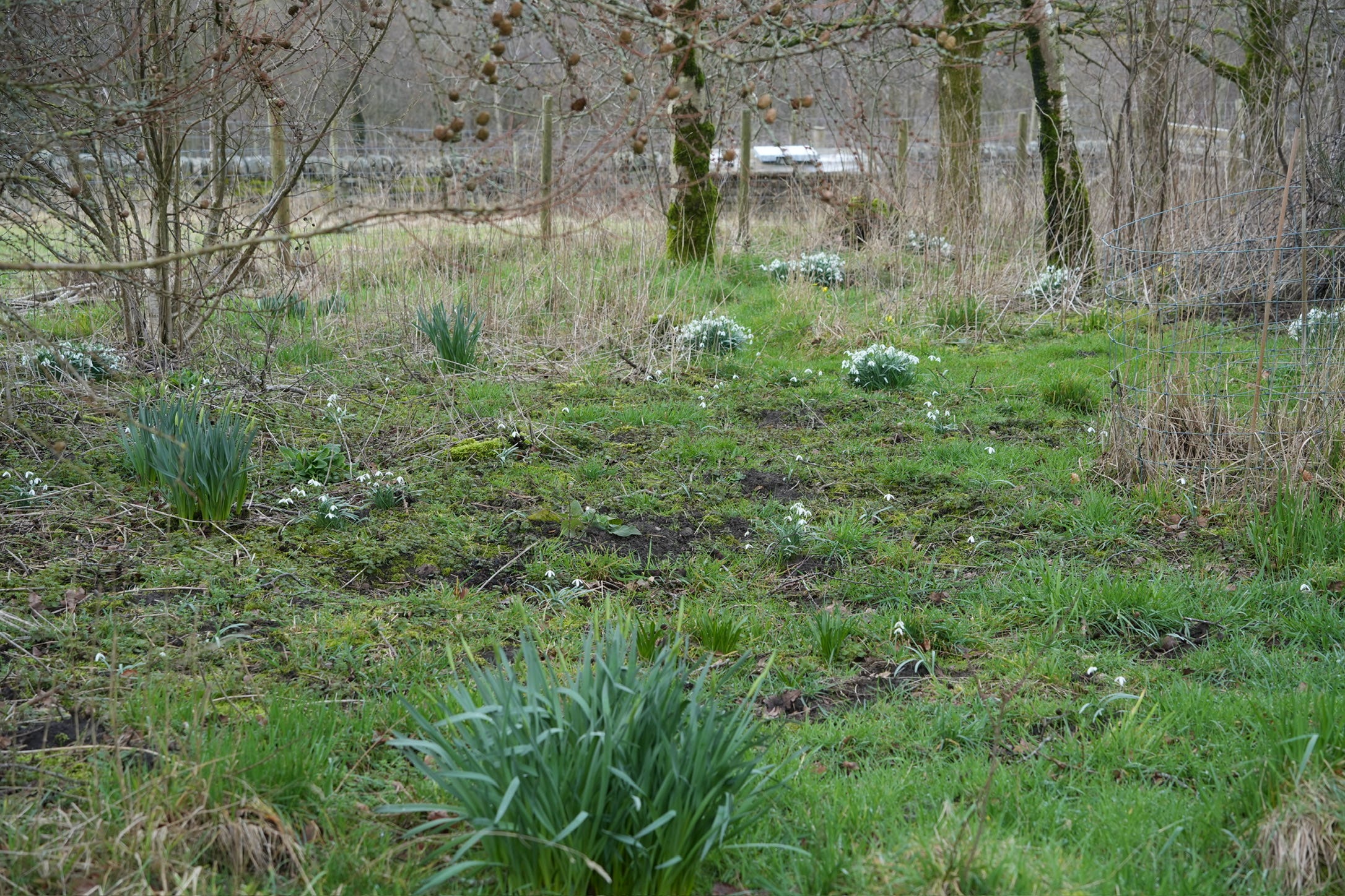 Enjoy a taste of false spring