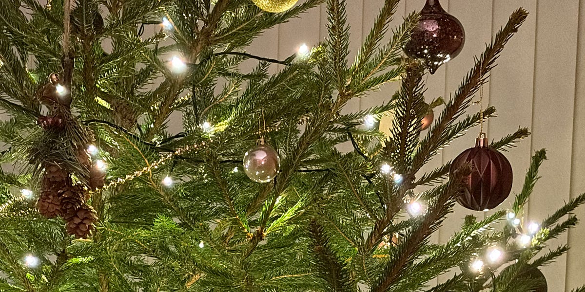 5 days of Christmas Stories - Shannon’s Substack