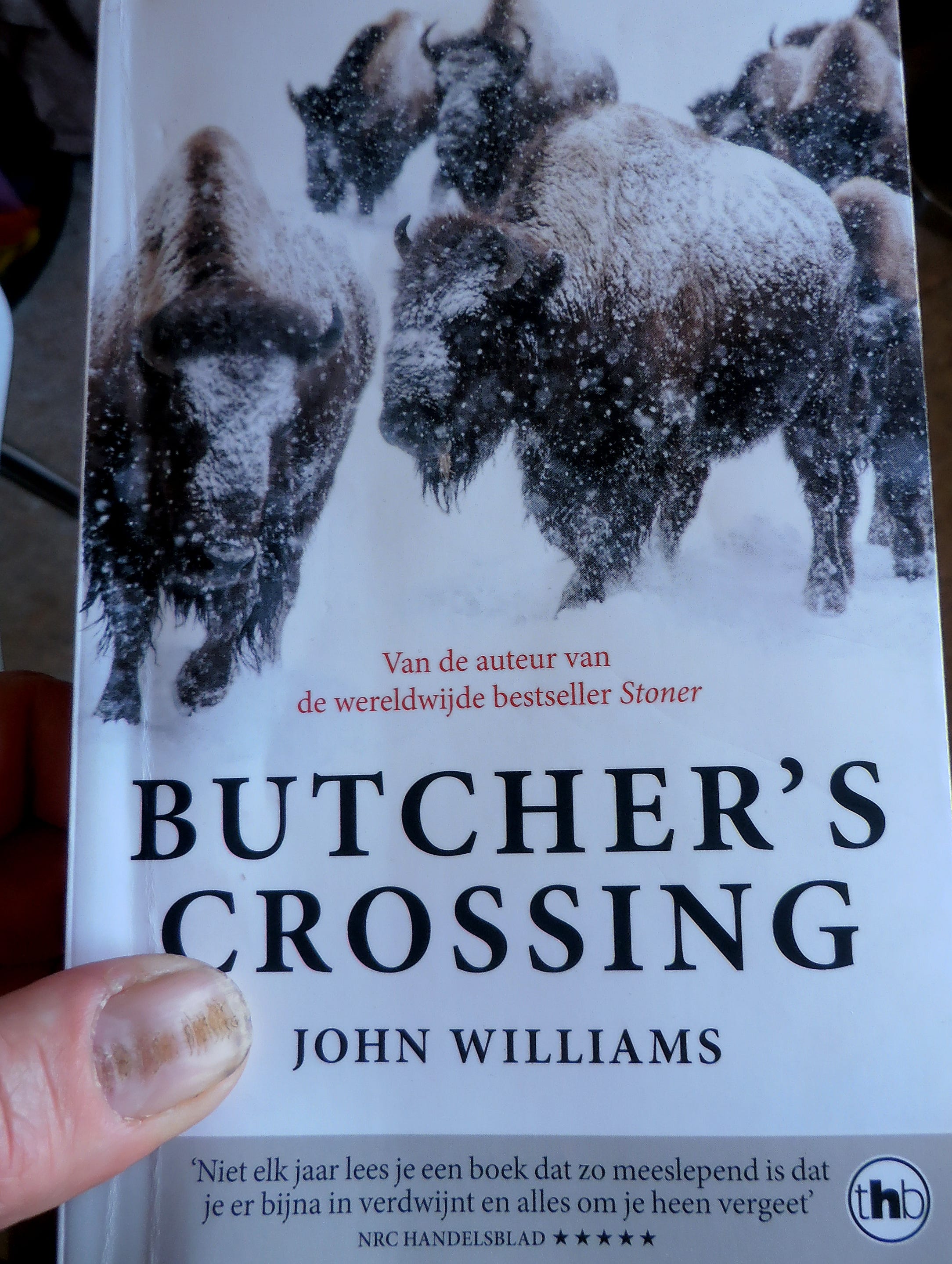 Butcher's Crossing - De Film - by Stef Hublou